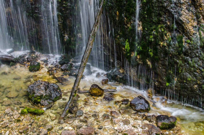 Tree Trunk and Rocks at the Waterfall Stock Photo - Image of energy ...