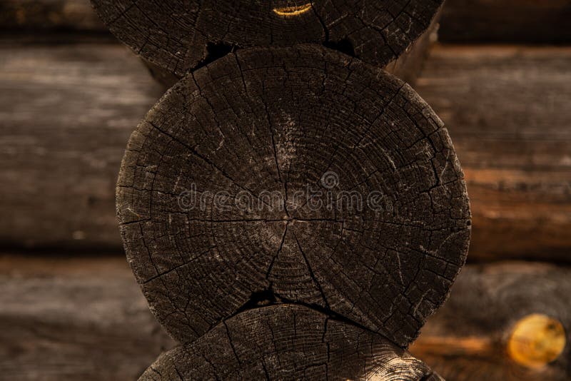 Tree Trunk in a Section Surrounded by Wooden Bars Stock Image - Image ...