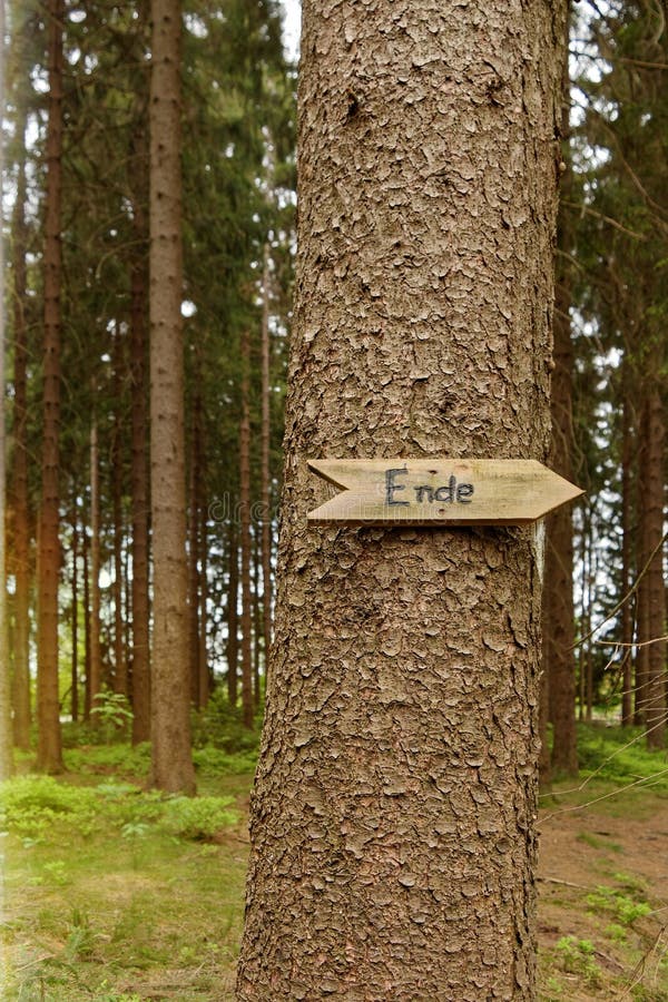 Tree signpost stock image. Image of arrow, signpost, direction - 52712273