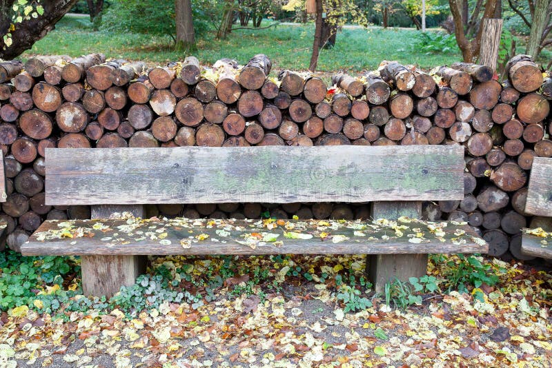 Tree Trunk Stack in a Forest in Denmark Stock Image - Image of autumnal ...