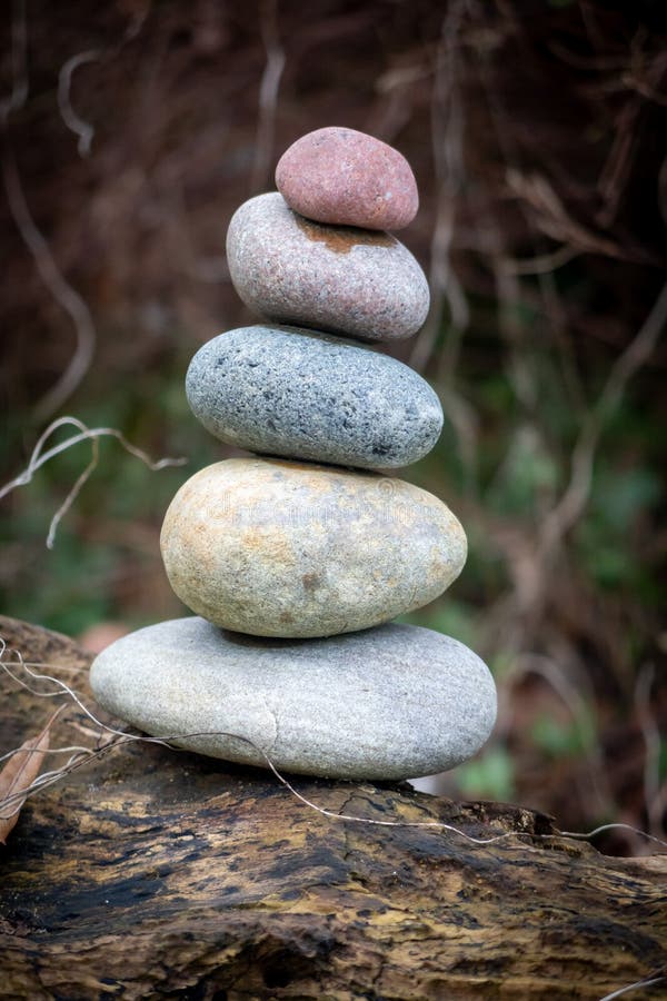 On the Tree Trunk Stands a Stone Stack with Different Colored Stones ...