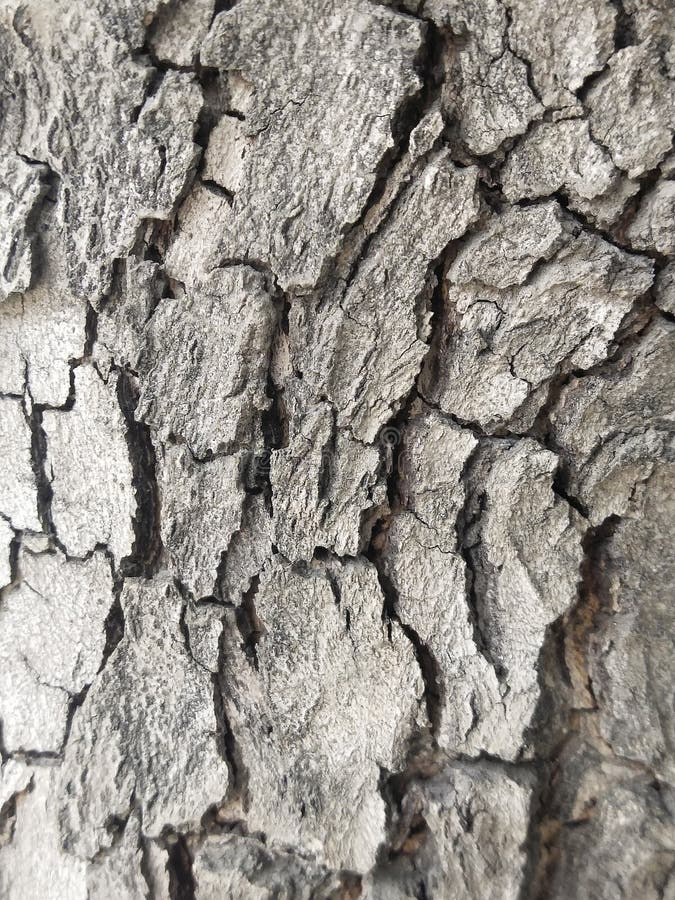 353,378 Image Searc Picture Stock Photos - Free & Royalty-Free Stock ...