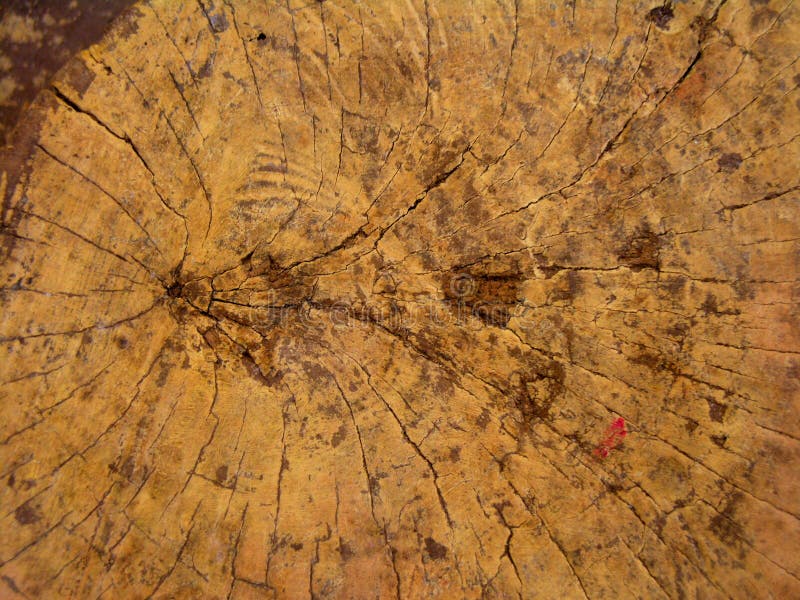 WOOD TEXTURE of OLD BARN stock image. Image of boards - 75491717