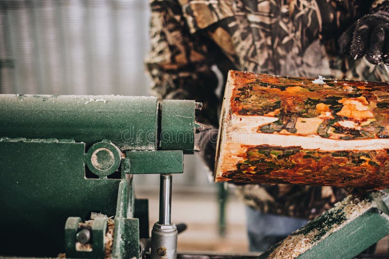 Tree Trunk in Woodworking Machine Stock Image - Image of forestry ...