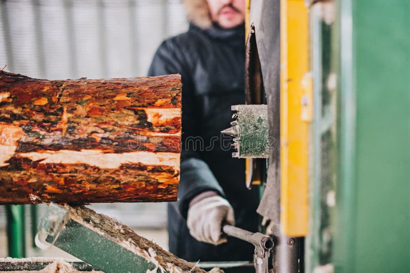 Tree Trunk in Woodworking Machine Stock Photo - Image of line ...