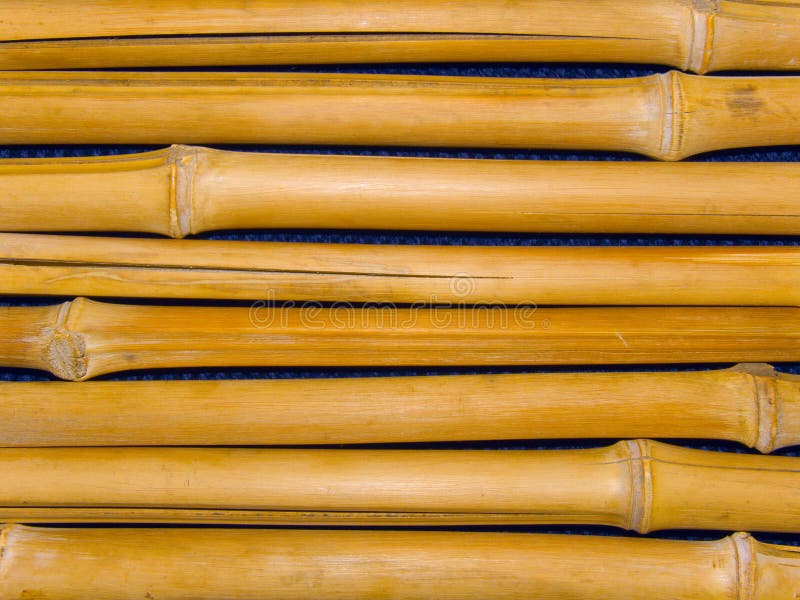 Tree trunks a bamboo stock image. Image of decor, firm - 7509675