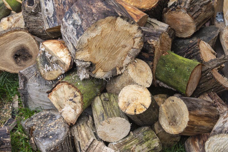Tree Trunks Cut and Chopped in a Heap Ready To Be Laid. Fuel Stock ...