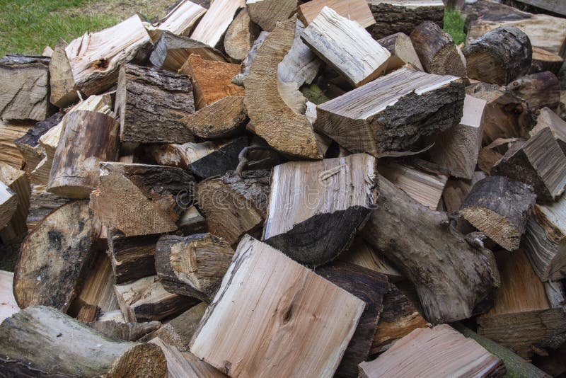 Tree Trunks Cut and Chopped in a Heap Ready To Be Laid. Fuel Stock ...