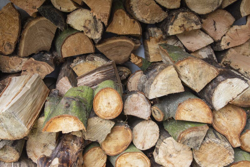 Tree Trunks Cut and Chopped Stacked into a Wall Ready To Be Burned ...