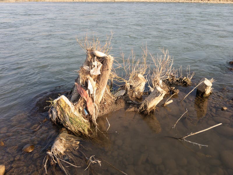 Flooded Timber Duck Hunting Stock Photos - Free & Royalty-Free Stock ...