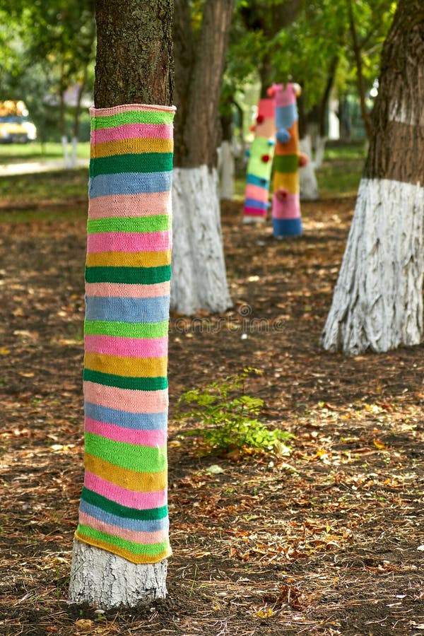 Tree Trunks Decorated Knitting Stock Image - Image of garden, nature ...