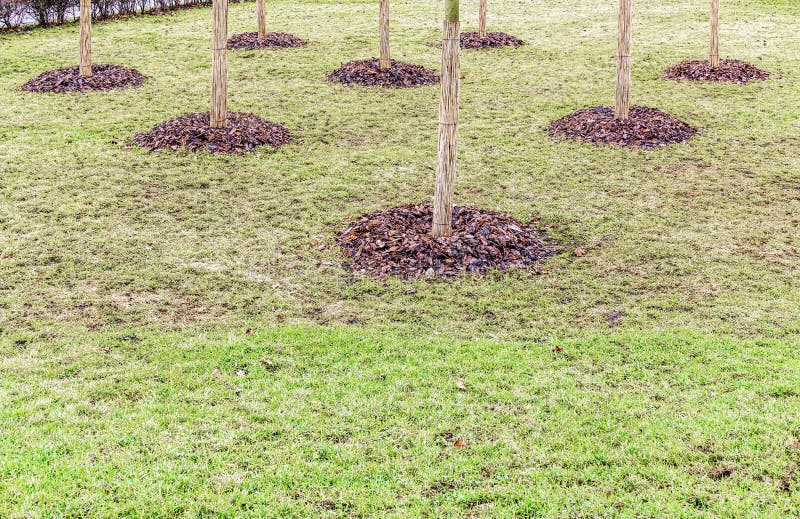 Insulation Splinter Photos - Free & Royalty-Free Stock Photos from ...