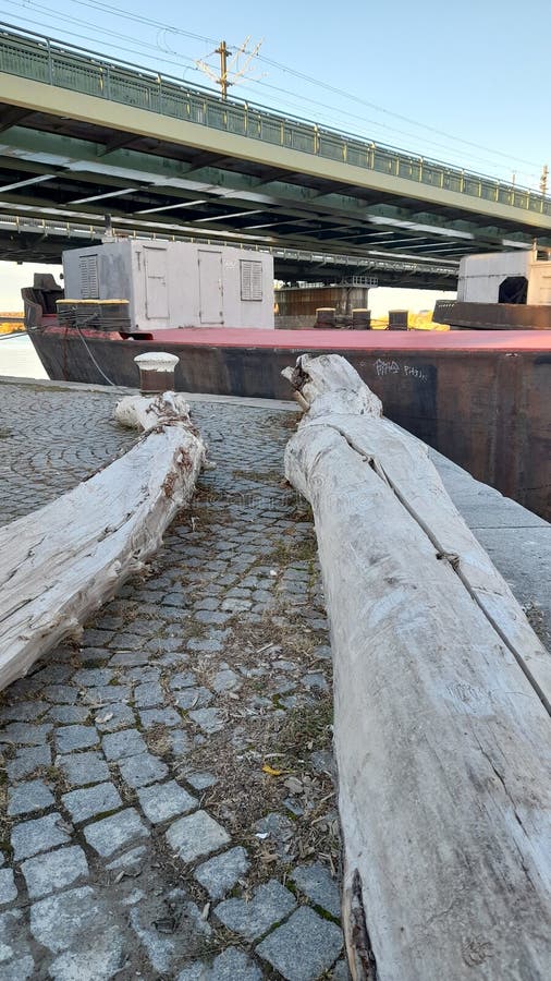 Tree trunks by the ship stock photo. Image of waterway - 234291302