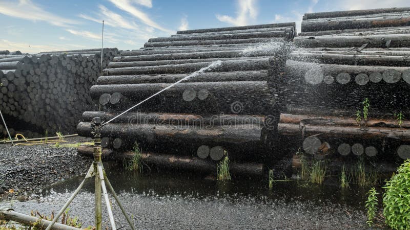 Wet Wood Storage stock photo. Image of industry, storage - 176088960