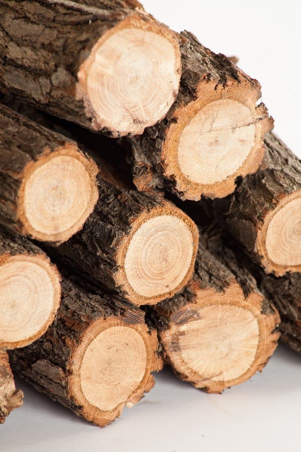 Group of Tree Trunks Arranged on White Background Stock Image - Image ...