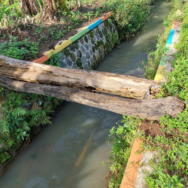 Tree Trunks Used To Cross the River Stock Photo - Image of watercourse ...