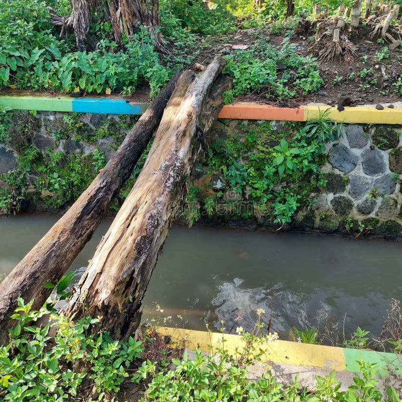 Tree Trunks Used To Cross the River Stock Image - Image of woodland ...
