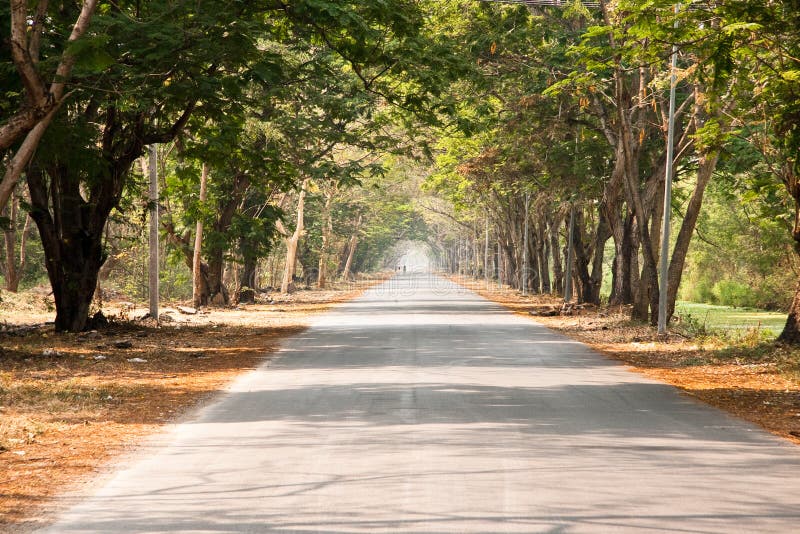 Sunlit road of Sikkim stock photo. Image of direction - 92273766
