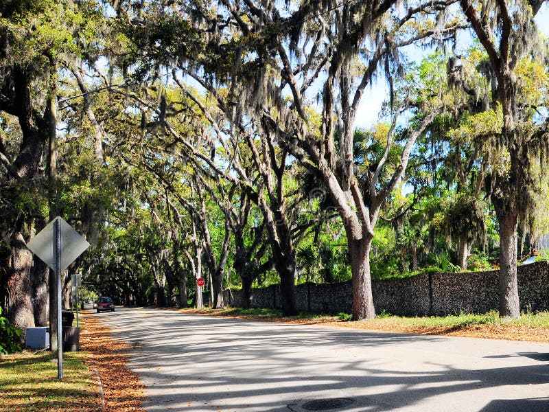 Tree Tunnel, St Augustine, Florida Stock Image - Image of mobile, shade ...