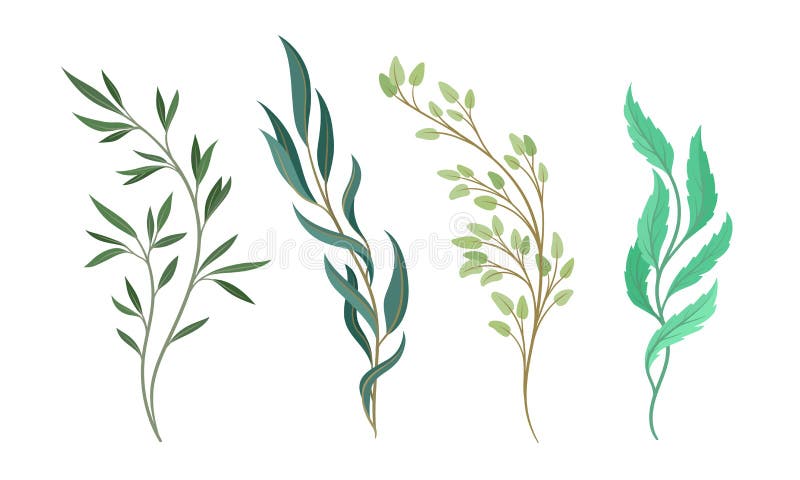 Tree Twigs and Branches with Green Leaves Vector Set Stock Vector ...