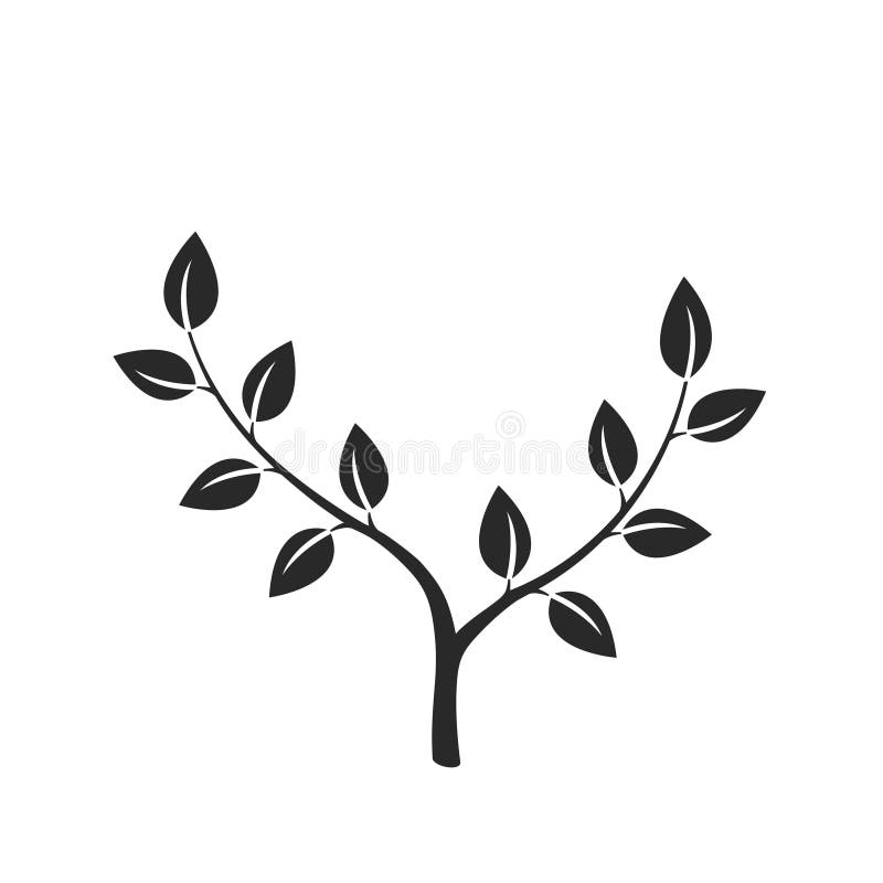 Tree with Two Branches Icon. Eco, Botanical and Plant Symbol. Nature ...