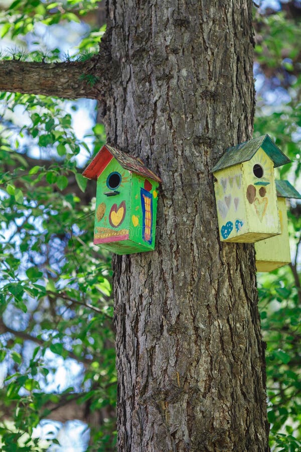 Tree with Two Nesting Boxes for Birds Stock Image - Image of bird, blue ...