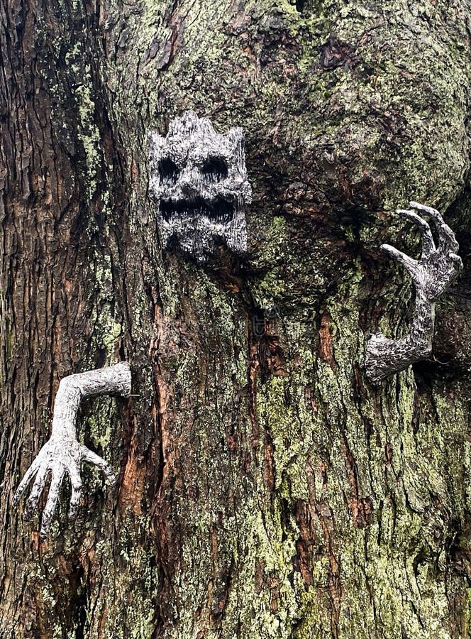 Tree with Two Scary Faces Carved into it Stock Photo - Image of facial ...