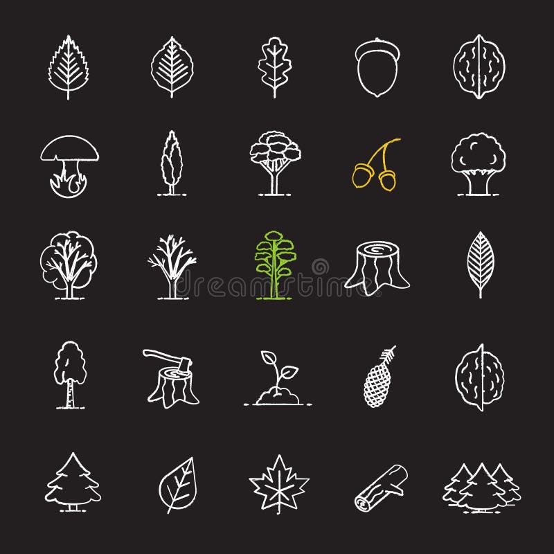 Chalk Sketch Oak Tree Stock Illustrations – 222 Chalk Sketch Oak Tree ...