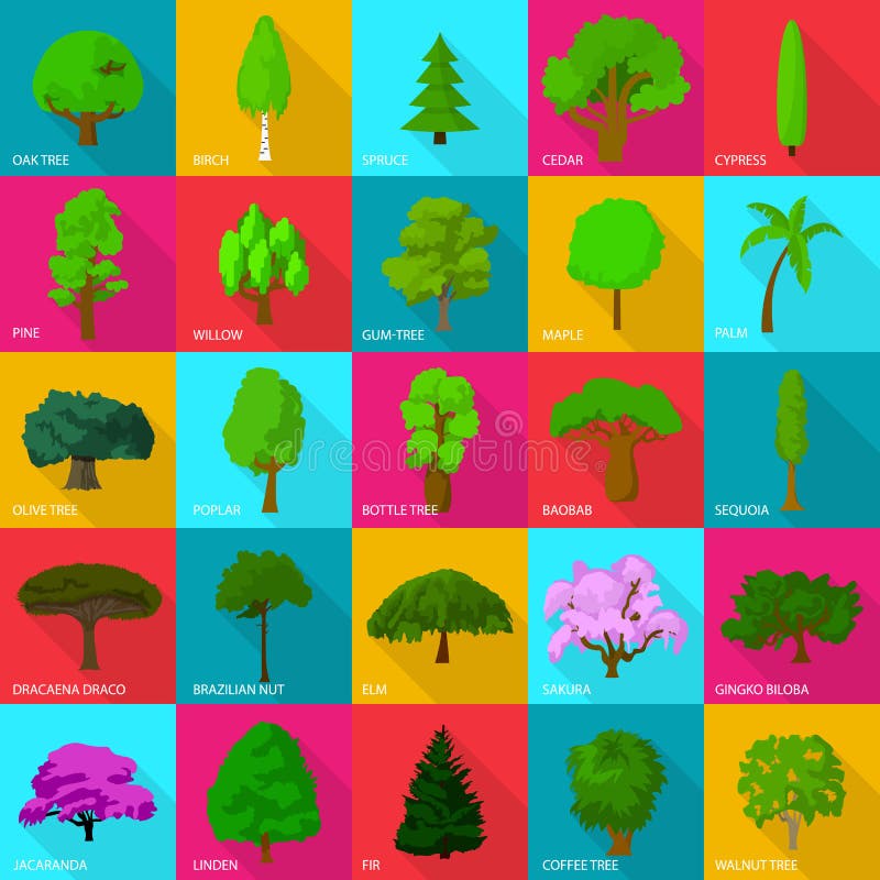 Tree Types Icons Set, Outline Style Stock Vector - Illustration of ... Tree Types Icons Set, Outline Style Stock Vector - Illustration of ...