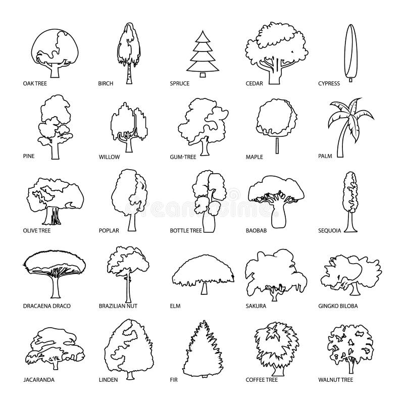 Tree Types Icons Set, Flat Style Stock Vector - Illustration of badge ... Tree Types Icons Set, Flat Style Stock Vector - Illustration of badge ...