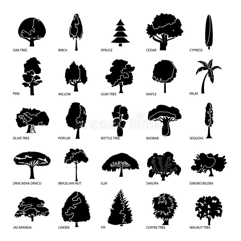 Tree Types Icons Set, Flat Style Stock Vector - Illustration of badge ... Tree Types Icons Set, Flat Style Stock Vector - Illustration of badge ...