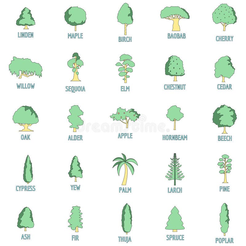 Tree Types Icons Set Vector Color Stock Vector - Illustration of ...