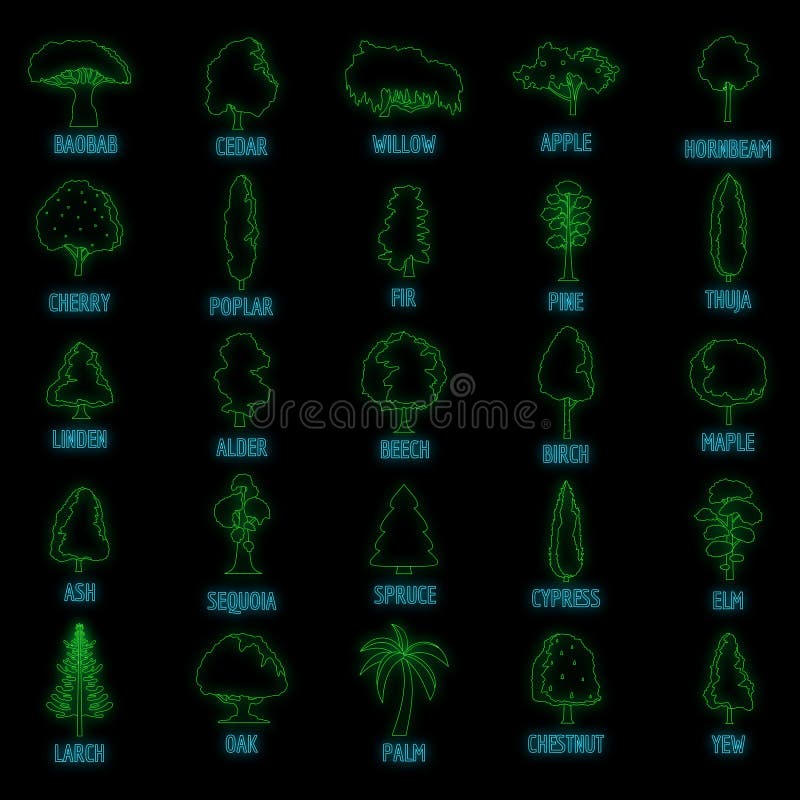 Tree Types Icons Set Vector Neon Stock Vector - Illustration of pine ...
