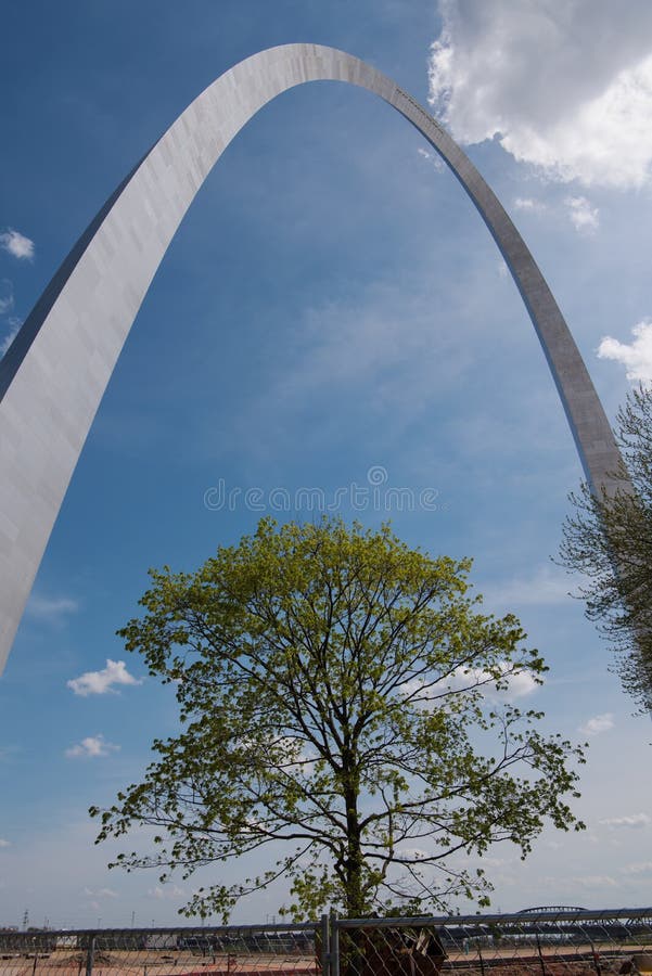 Tree under Gateway Arch stock photo. Image of atch, stainless - 91229256