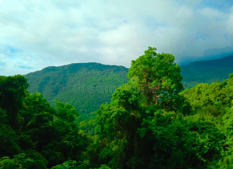 Tree under the mountain stock photo. Image of tamilnadu - 192394756