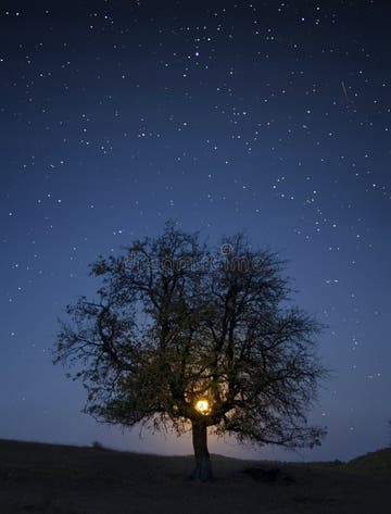 Tree Under Sky with Stars and Moon Stock Image - Image of orange, clear ...