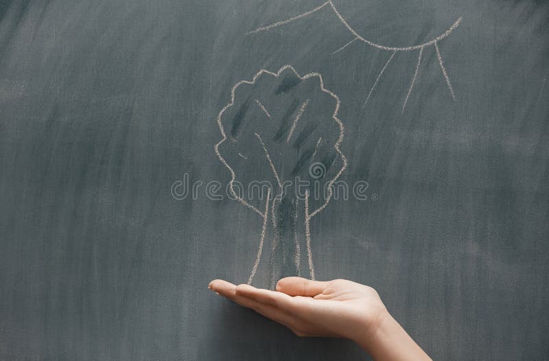 Tree under the sun stock photo. Image of inspiration - 59472780