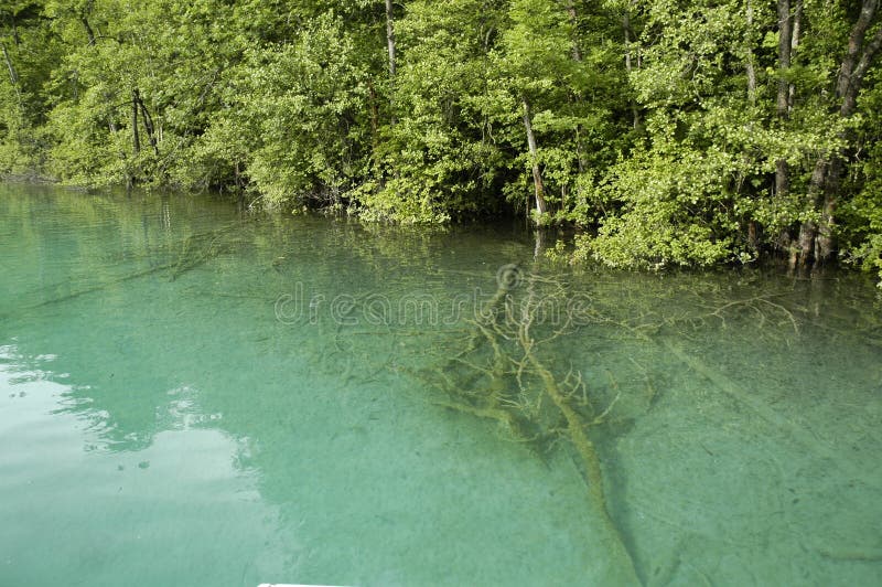 Tree under water stock image. Image of lakes, clouds, ranges - 924647