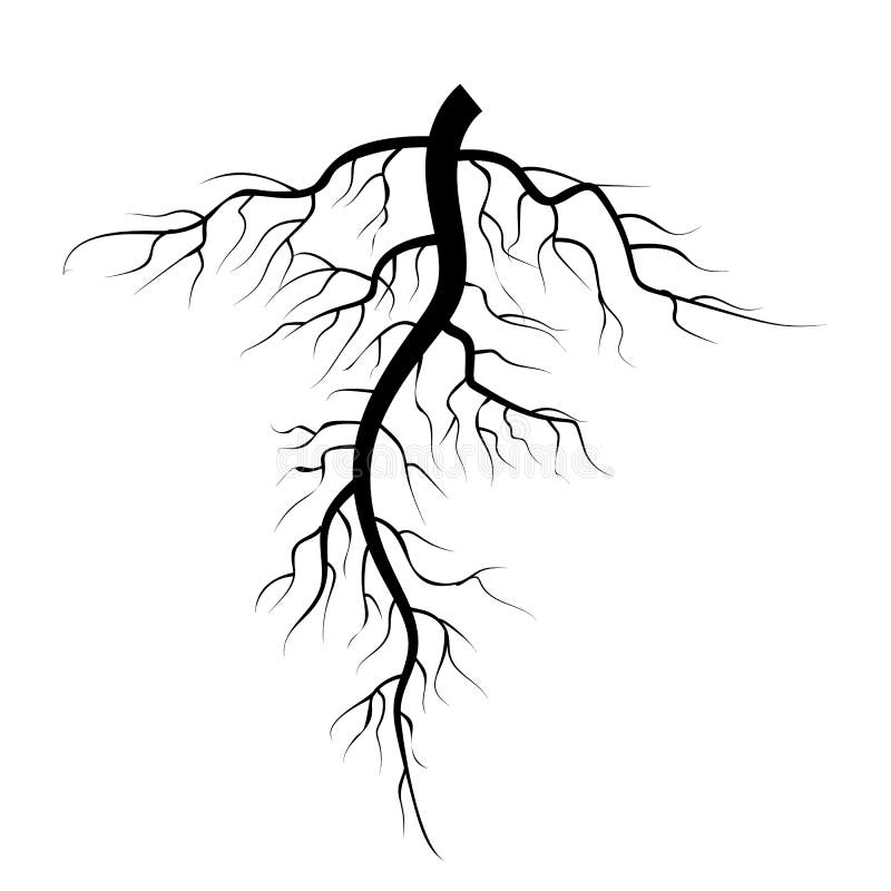 Tree Underground Roots Vector. Plant Underground Roots Set. Tree Root ... Tree Underground Roots Vector. Plant Underground Roots Set. Tree Root ...