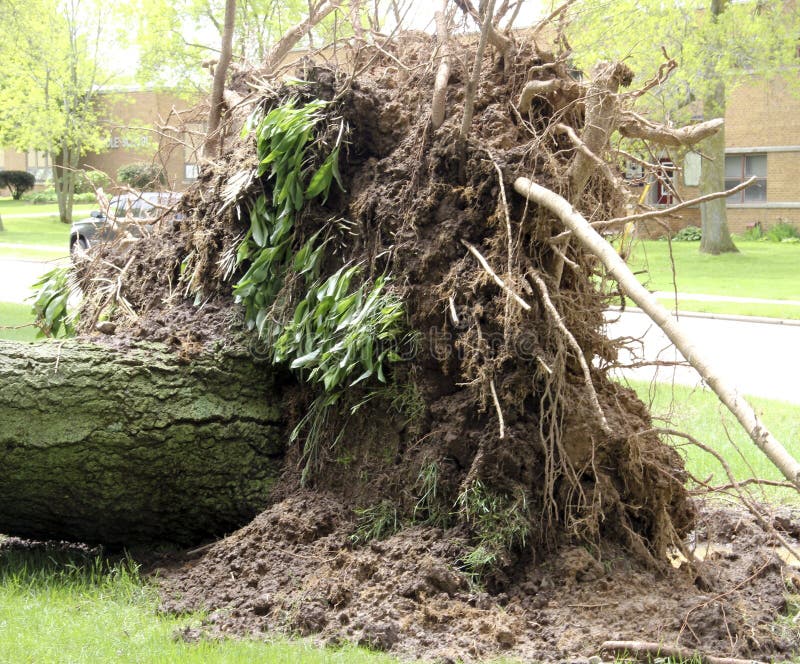 Thunsr Stock Photos - Free & Royalty-Free Stock Photos from Dreamstime