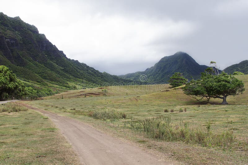 Tree in the valley stock image. Image of mountain, palm - 28969583