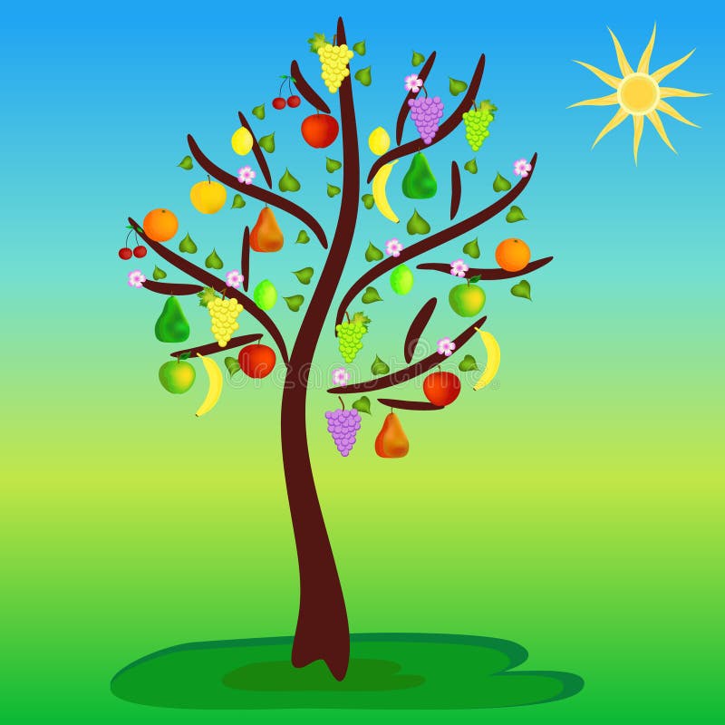 Fruits illustration stock vector. Illustration of green - 52606439