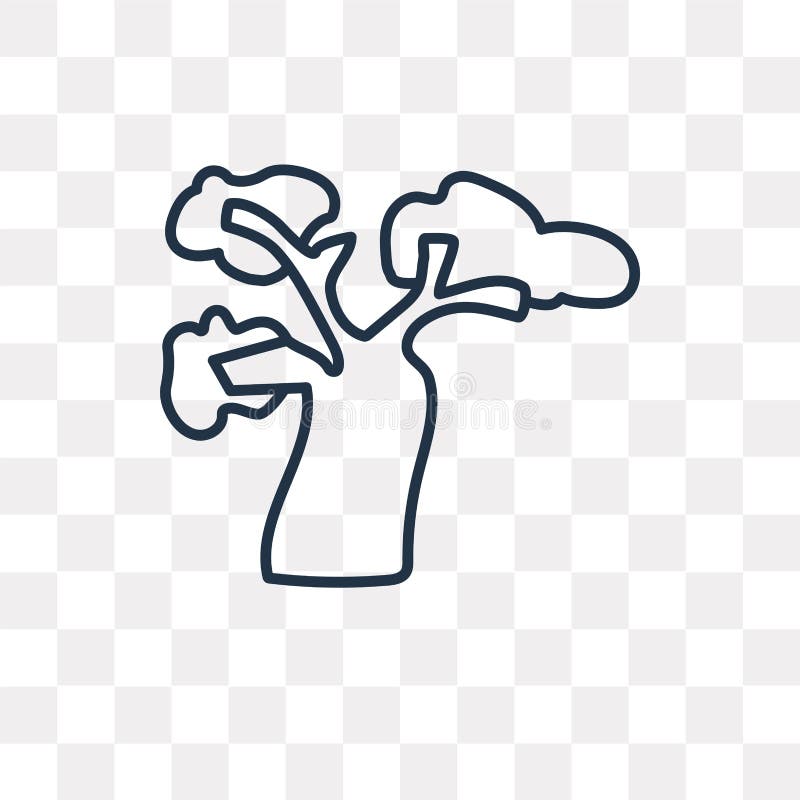 Tree Vector Icon Isolated On Transparent Background, Linear Tree Stock ...