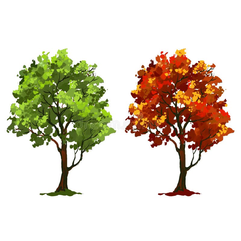 Tree Vector Illustration Hand Drawn Painted Stock Vector - Illustration ...