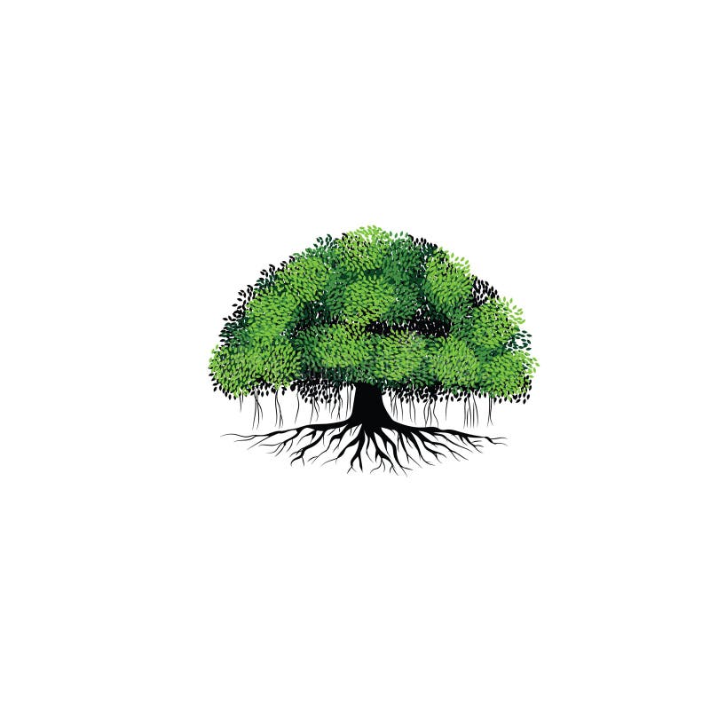 Banyan Tree Drawing Stock Illustrations – 1,592 Banyan Tree Drawing ...