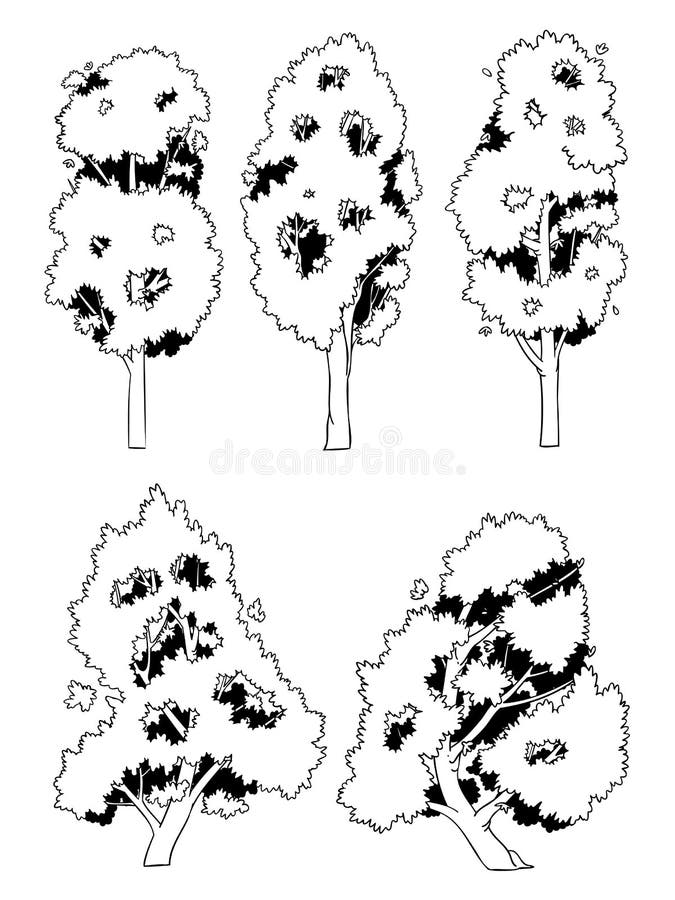 Vector Set of Side View Tree Isolated on White Background. Stock Vector ...