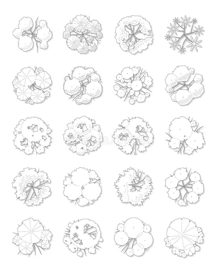 Tree Top View Line Drawing Stock Illustrations – 903 Tree Top View Line ...