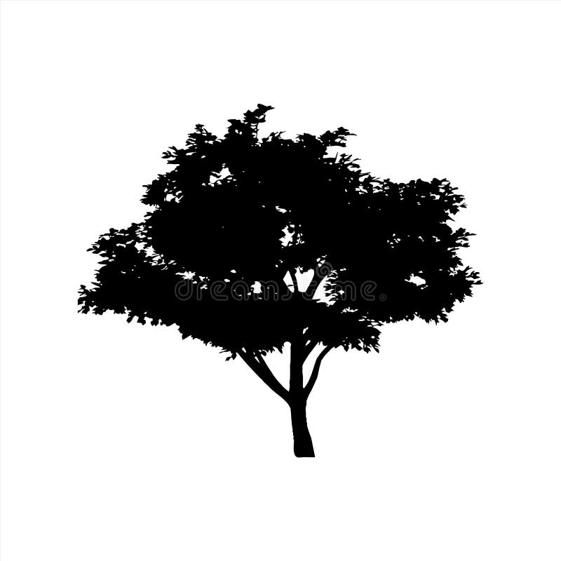Stylized Brown Tree Silhouette Stock Illustrations – 1,240 Stylized ...
