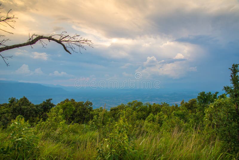 Tree View mountain stock photo. Image of scenery, empty - 56011316