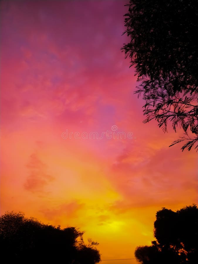 Tree View in Twilight Red and Dark Sky Background Stock Image - Image ...